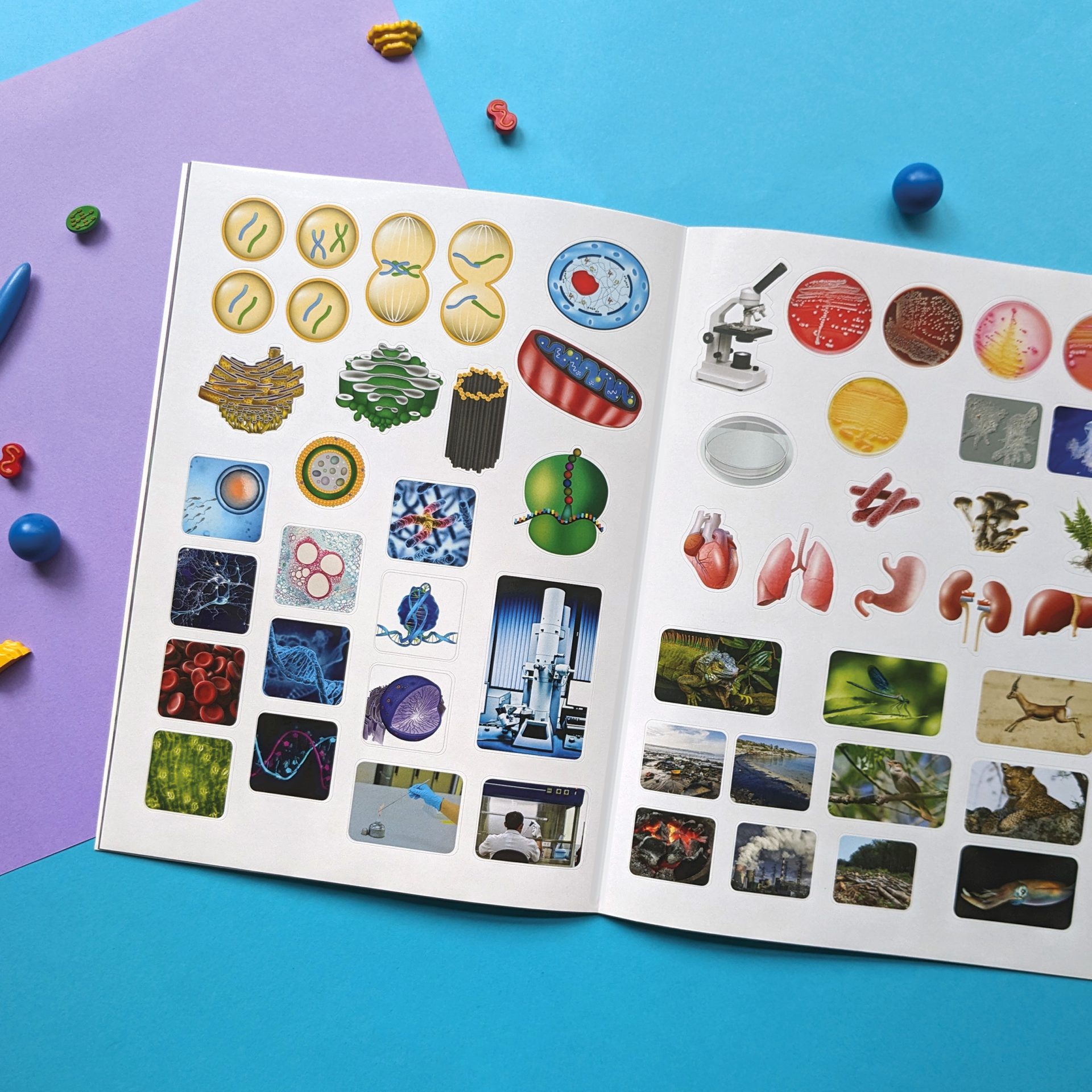 DISCOVER BIOLOGY | Begen